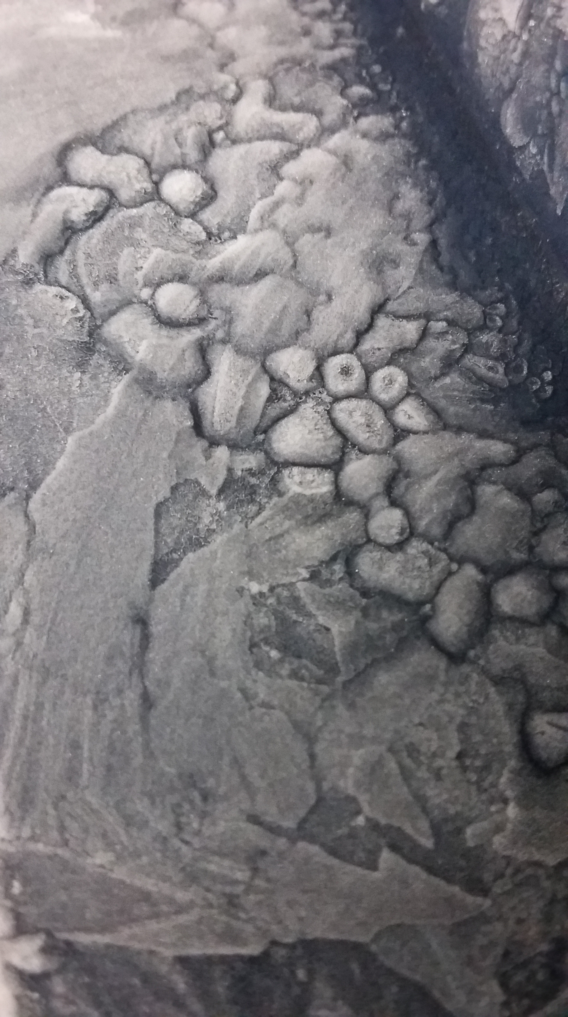 FFF Challenge – Texture – Cyranny's Cove